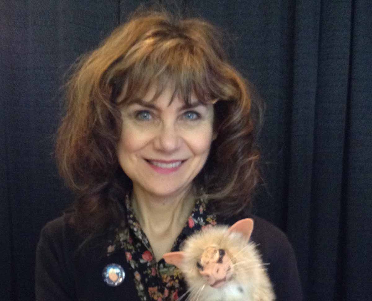 Interview with Episode I Concept Artist Terryl Whitlatch